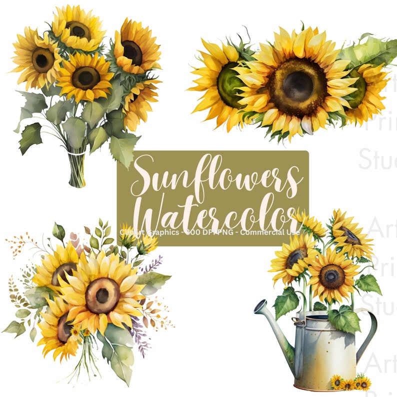 Watercolor Sunflower Clipart Bundle, Fall Floral PNG (commercial Use ...
