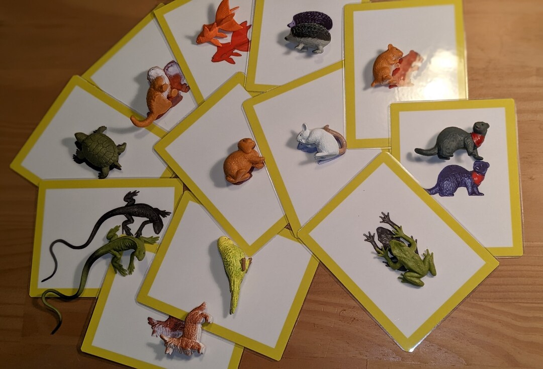 Montessori Toddler Language Cards Pets - Etsy