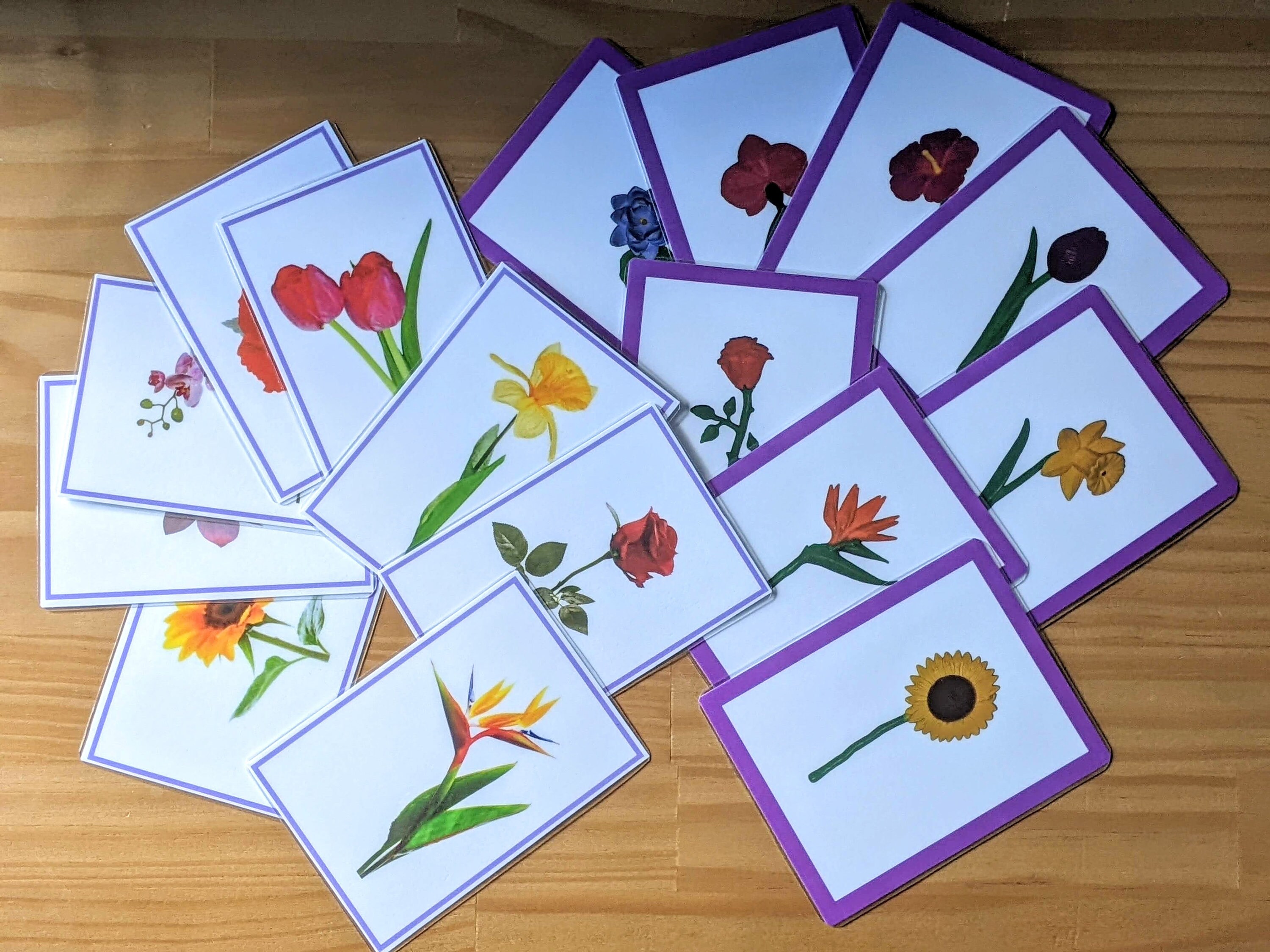 Montessori Language Cards Flowers - Etsy