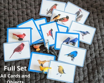 Backyard Birds Safari Toob Montessori 3-part Cards Montessori Matching ...