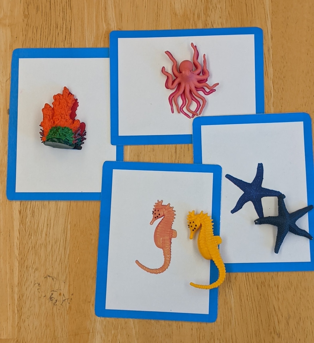 Coral Reef Montessori Language Cards - Etsy
