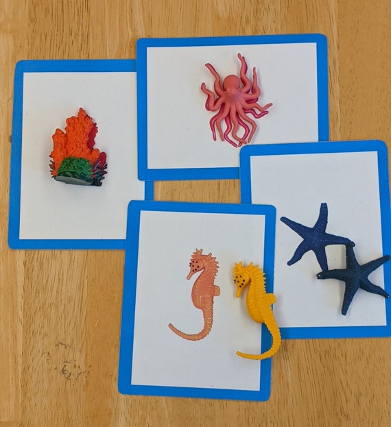 Coral Reef Montessori Language Cards | Etsy