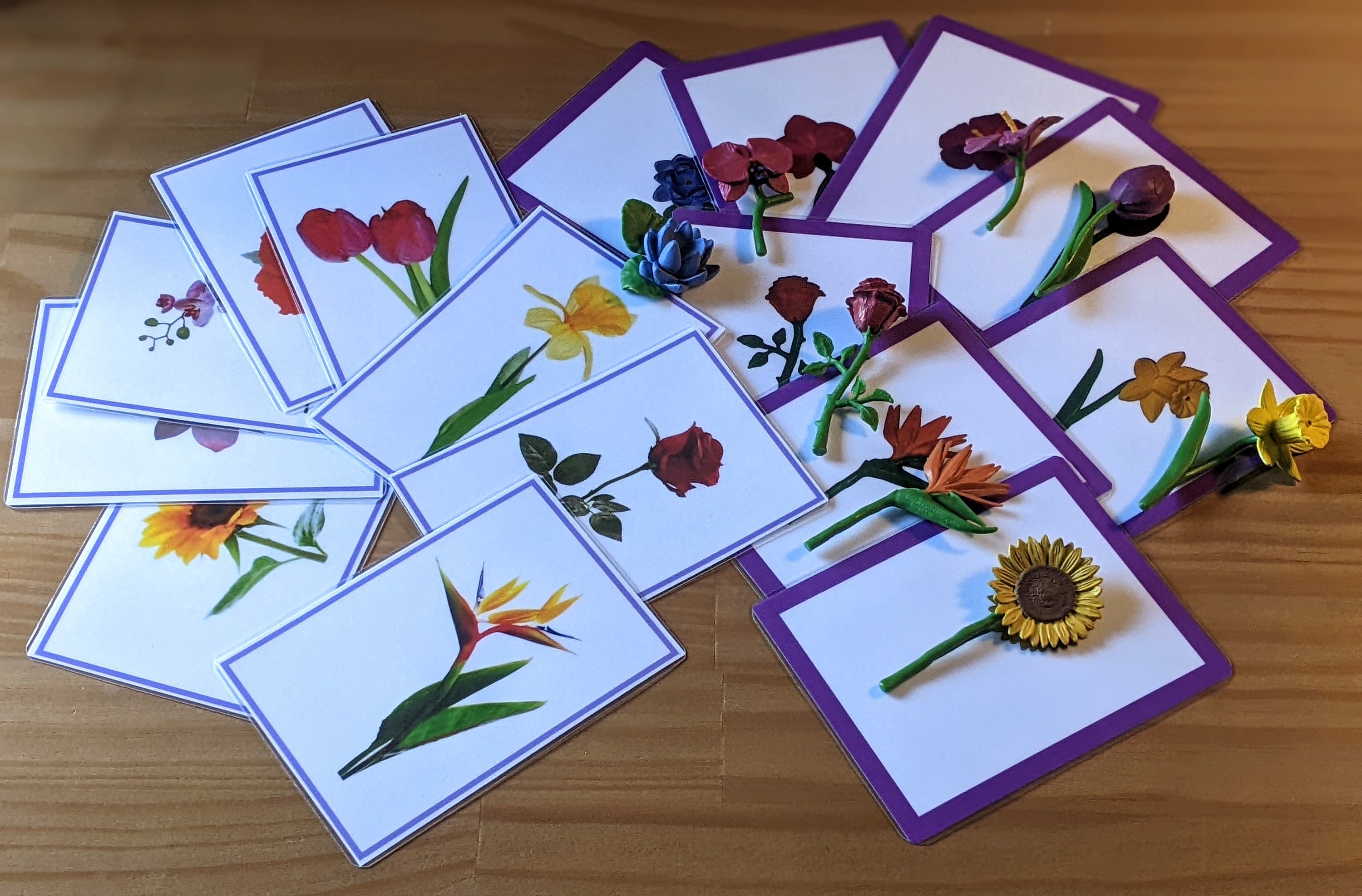 Montessori Language Cards Flowers - Etsy