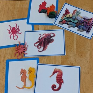 Coral Reef Montessori Language Cards - Etsy