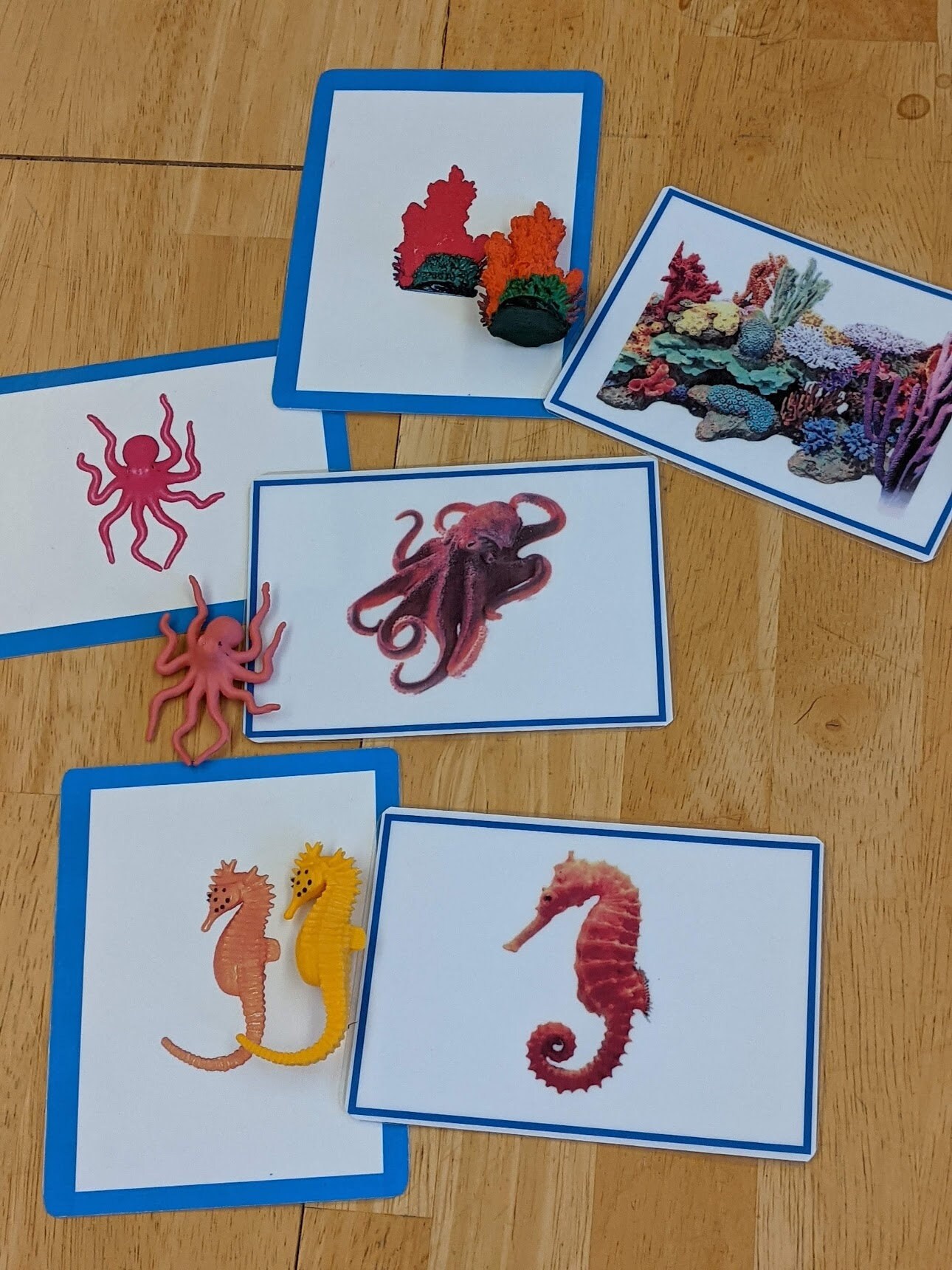 Coral Reef Montessori Language Cards - Etsy