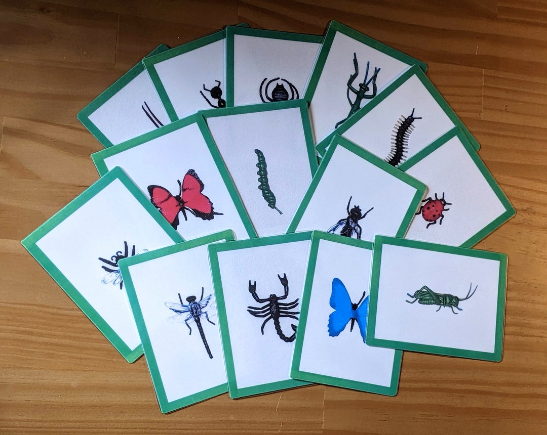 Montessori Language Cards Insects - Etsy