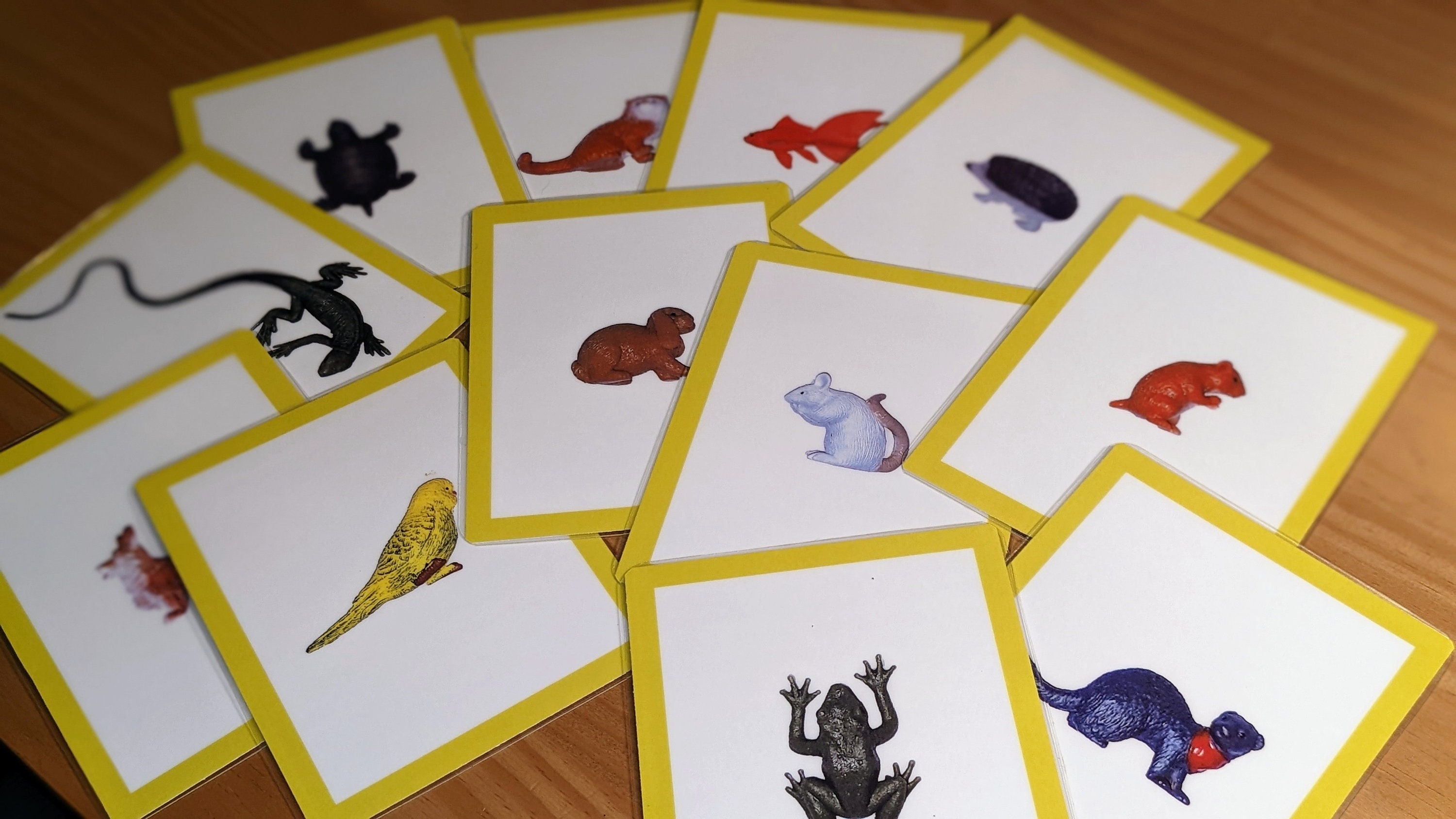 Montessori Toddler Language Cards Pets - Etsy
