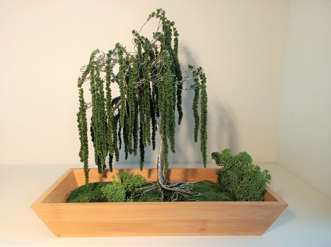Árbol bonsai de alambre de acero inoxidable musgo preservado - Etsy España