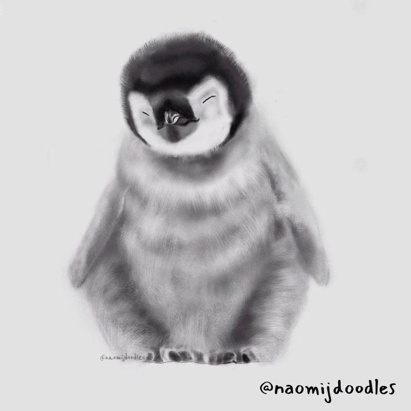 Realistic Baby Penguin Drawing