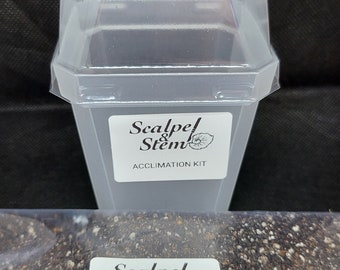 Tissue Culture - Etsy