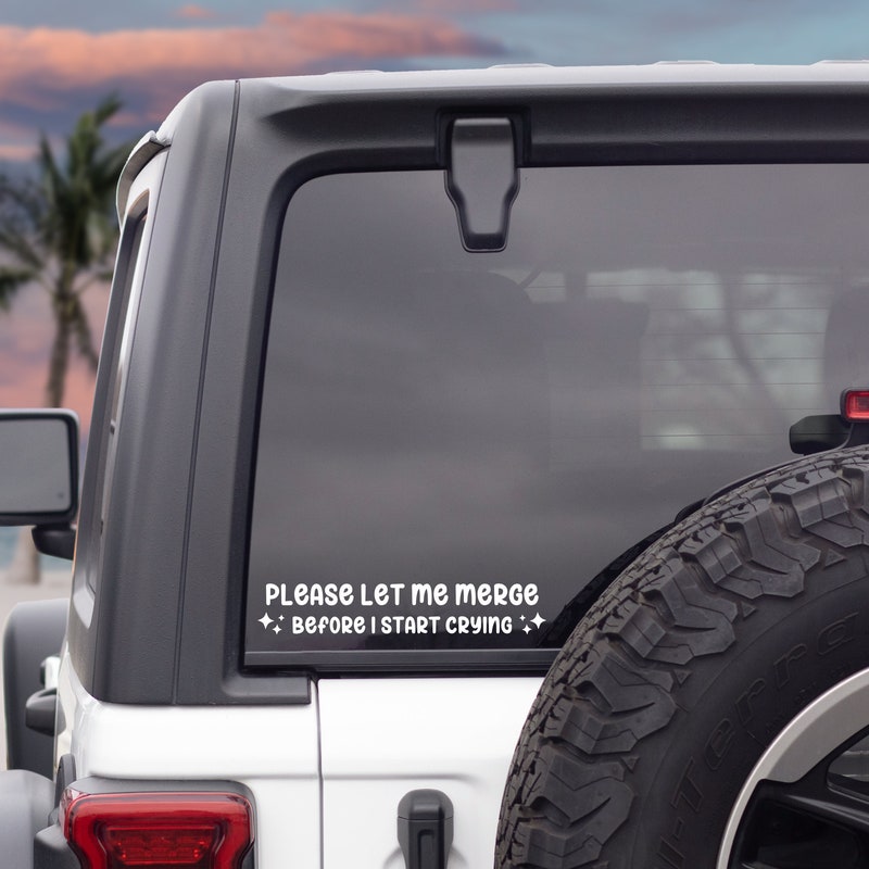 Car Window Decals Funny - Etsy