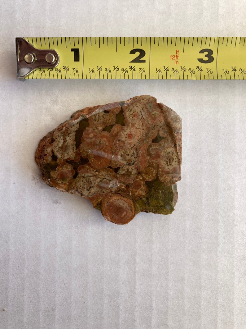 Orbicular (birdseye) Rhyolite Slab - Etsy