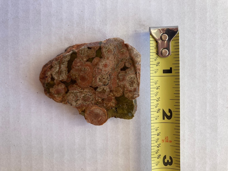 Orbicular (birdseye) Rhyolite Slab - Etsy