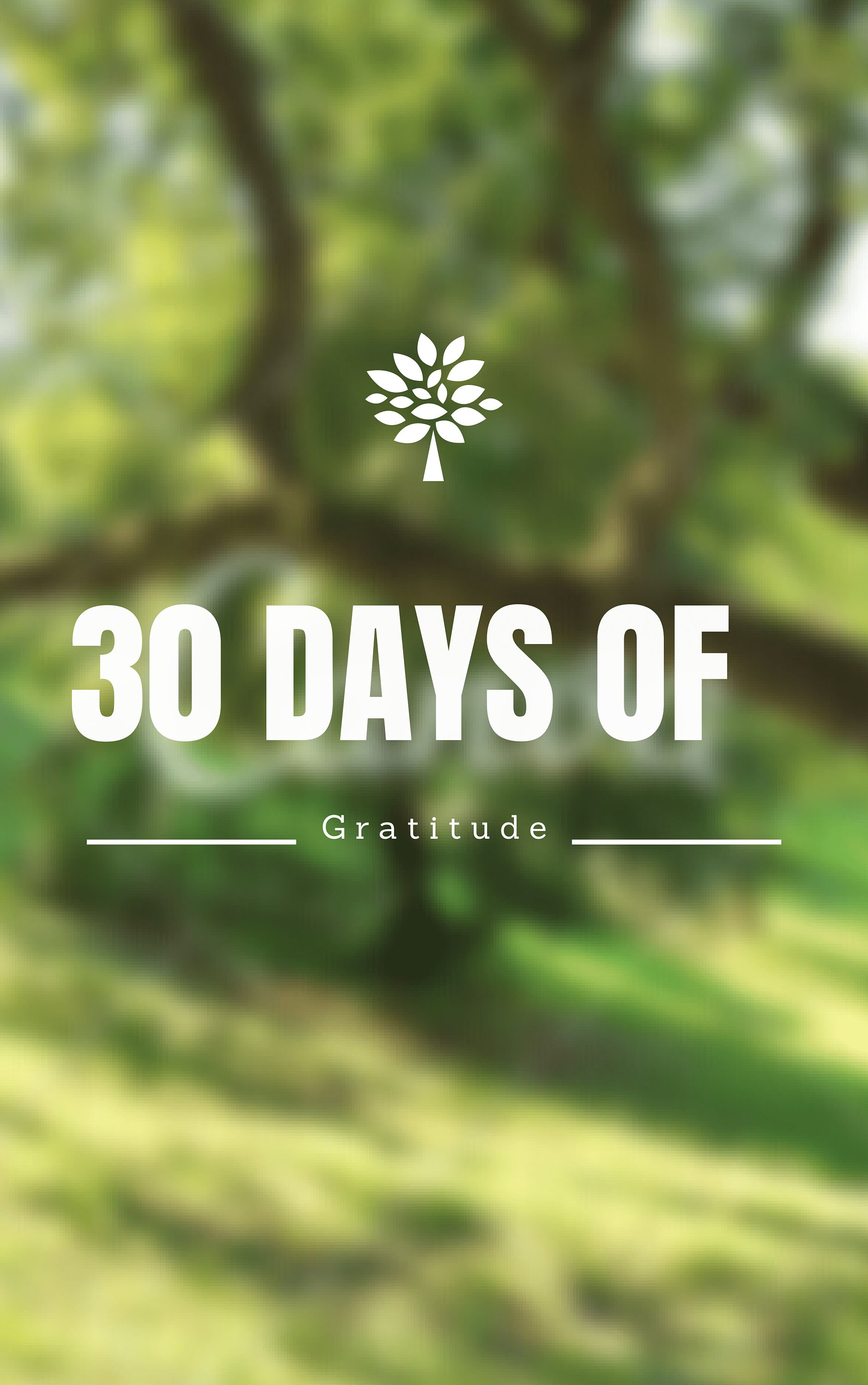 30 Days of Gratitude - Etsy