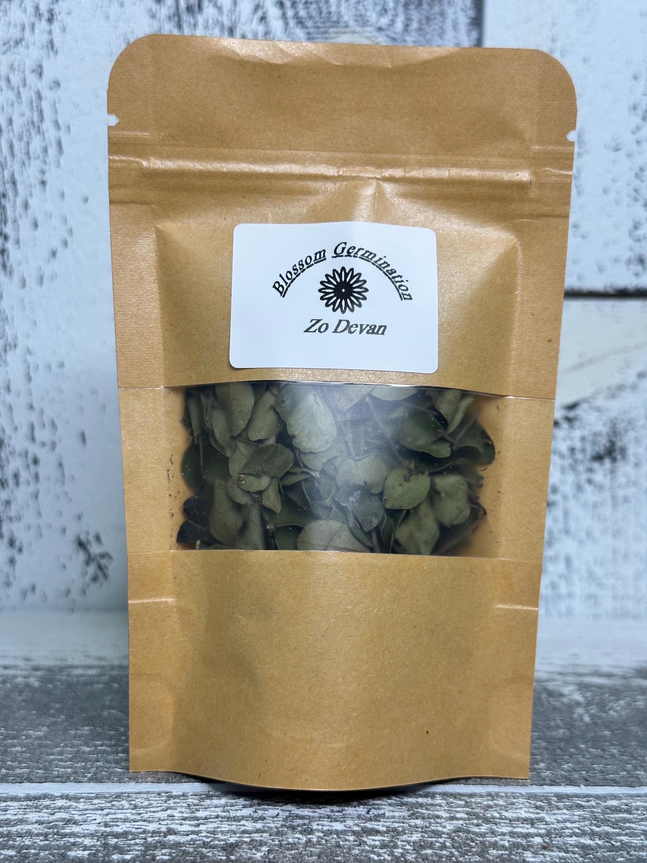 Haitian Herbal Tea - Etsy