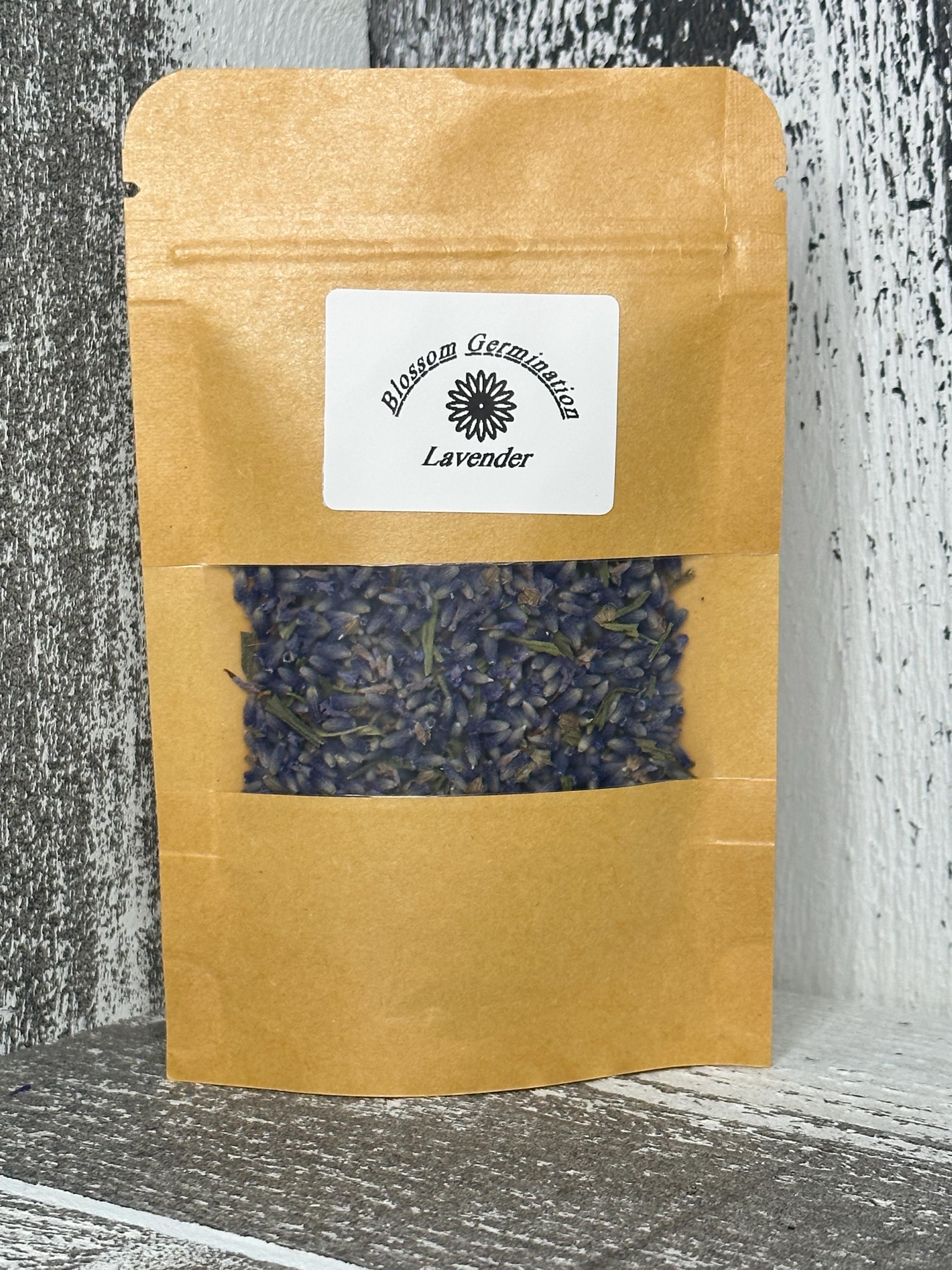 Haitian Herbal Tea - Etsy