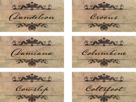 160 Herbal Apothecary Labels Digital Download Witchy Herb - Etsy