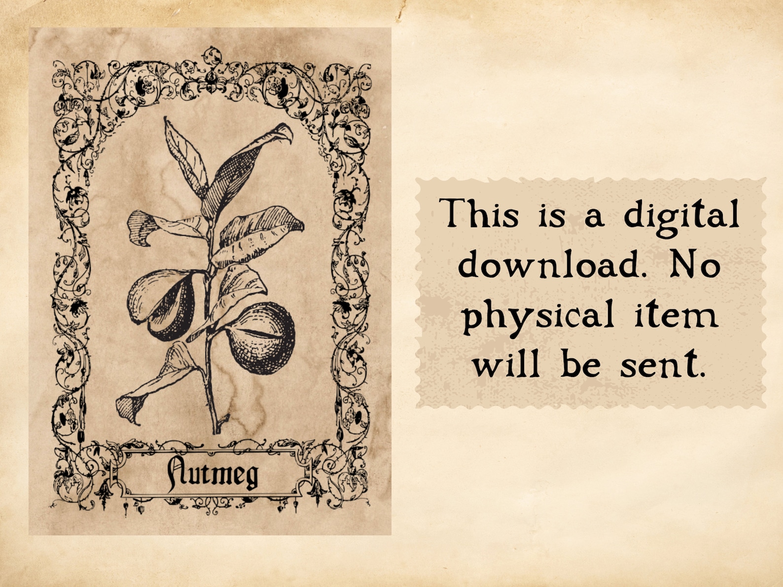 Witchy Apothecary Spice Jar Labels: Vintage Style (digital Download) - Etsy
