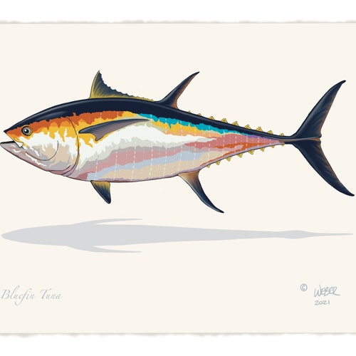 Tuna Print Bluefin Tuna Watercolor Print Nautical Print - Etsy
