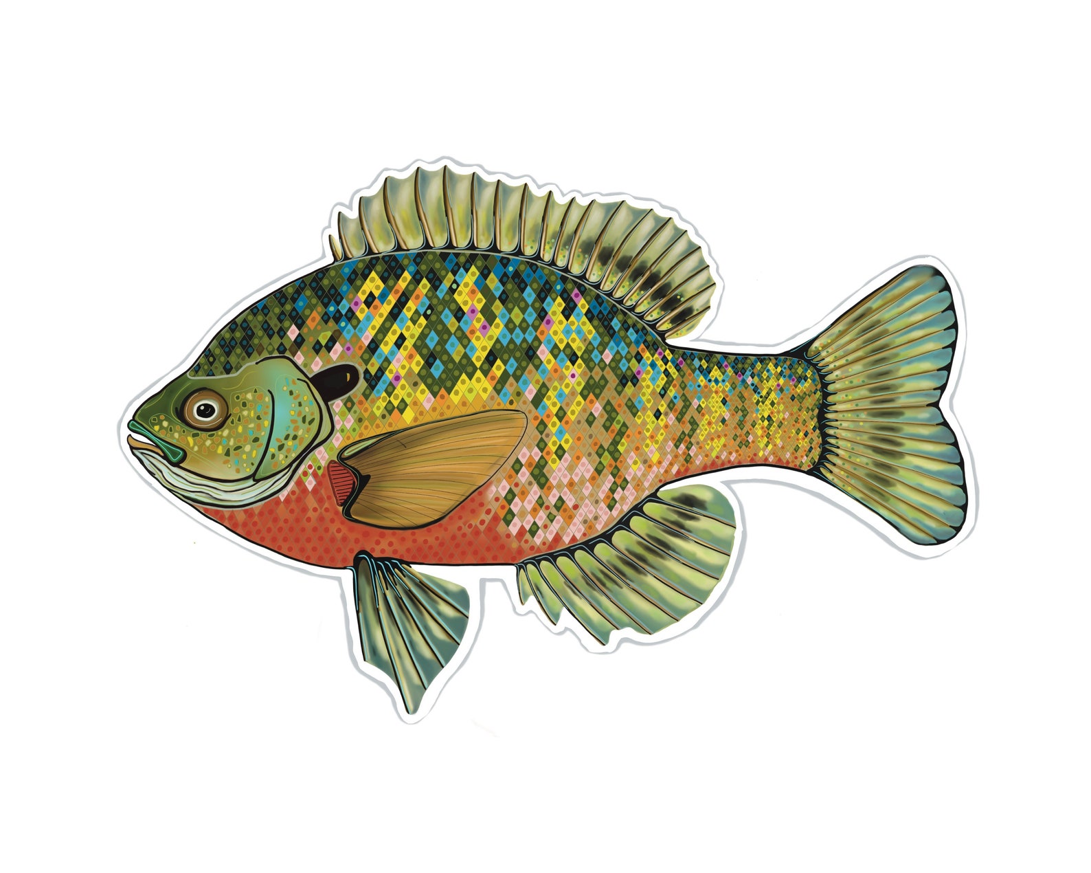 Bluegill Fishing Sticker - Etsy