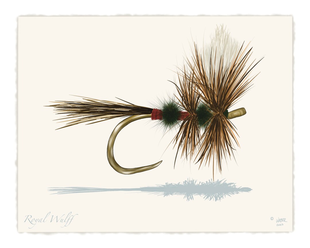 Royal Wulff Dry Fly Print - Etsy