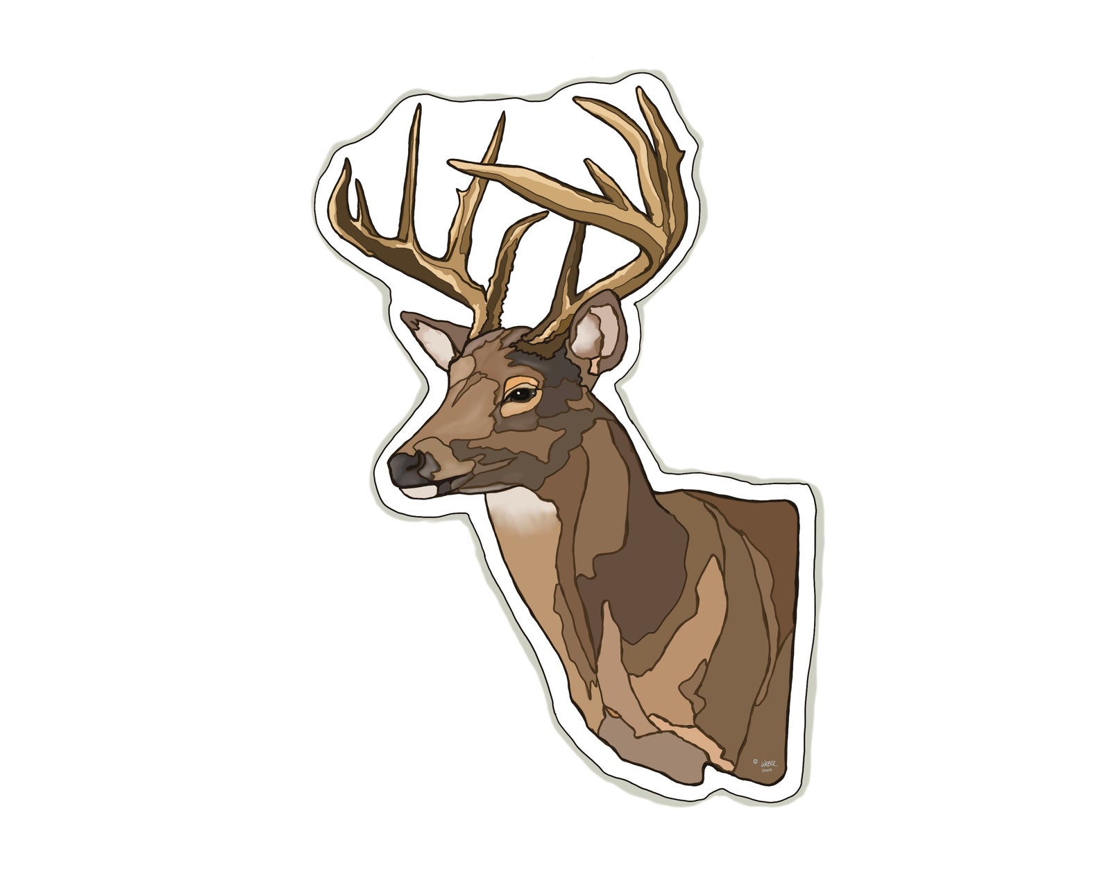 Whitetail Deer Sticker - Etsy