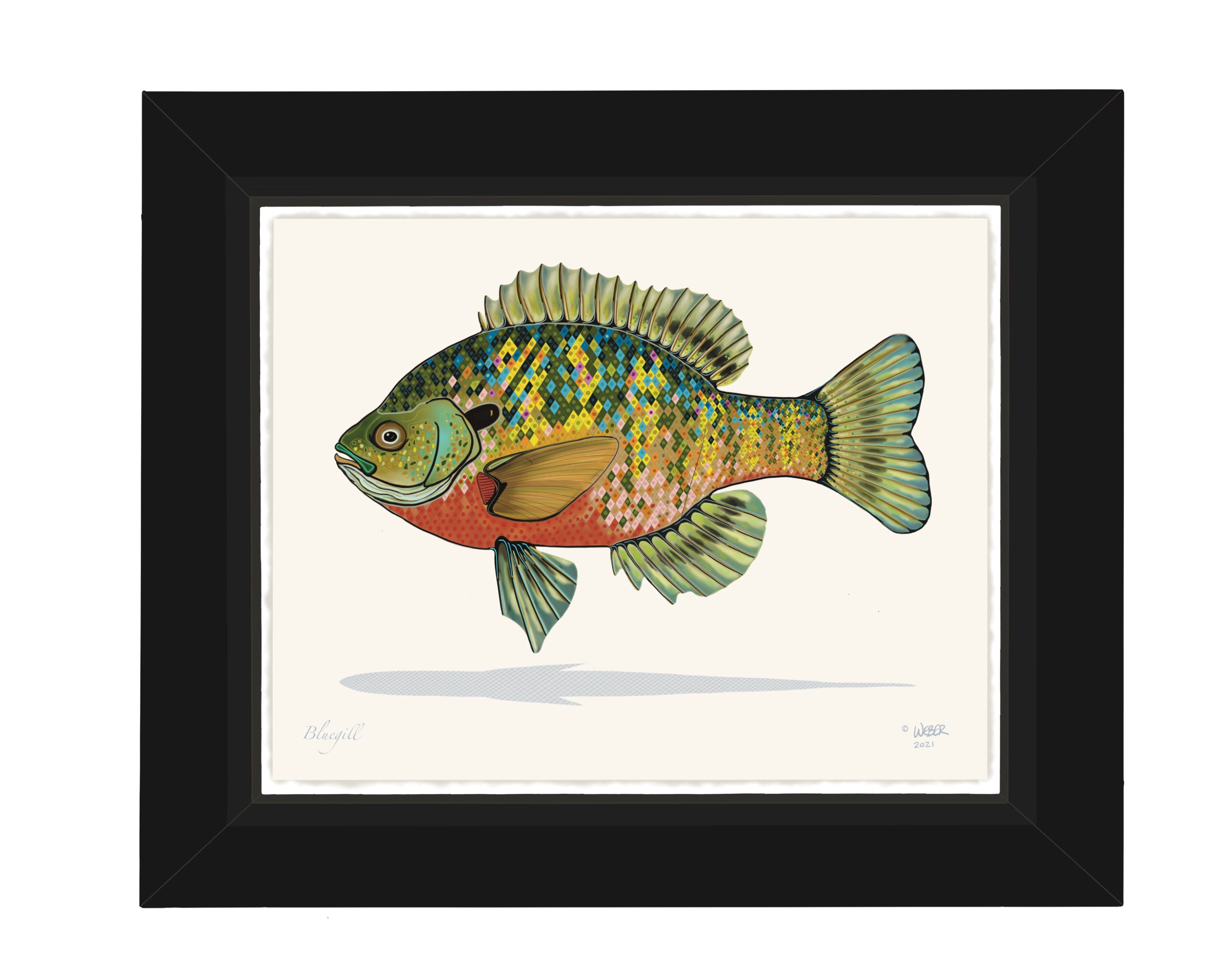 Bluegill Sunfish Fish Print - Etsy