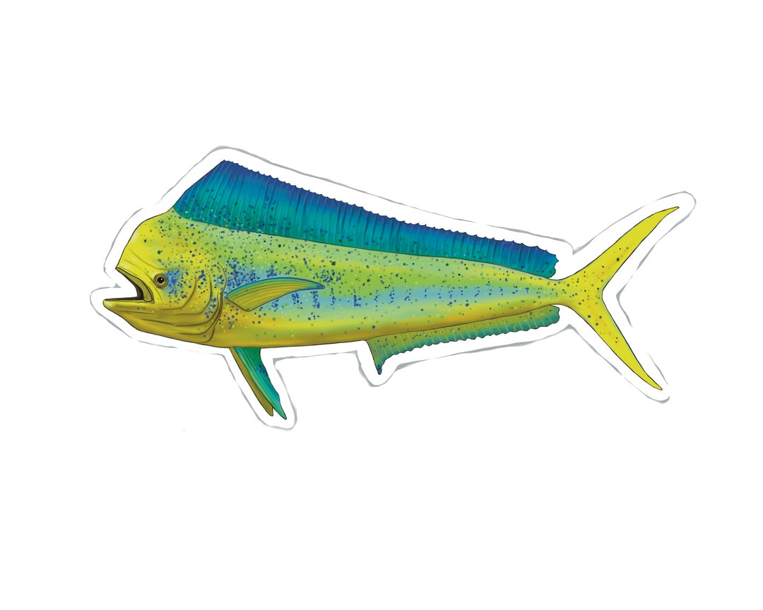 Mahi Mahi Fish Sticker - Etsy