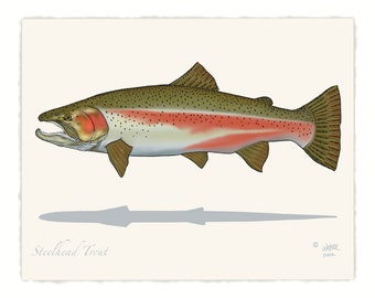 Steelhead Trout Art Print - Etsy