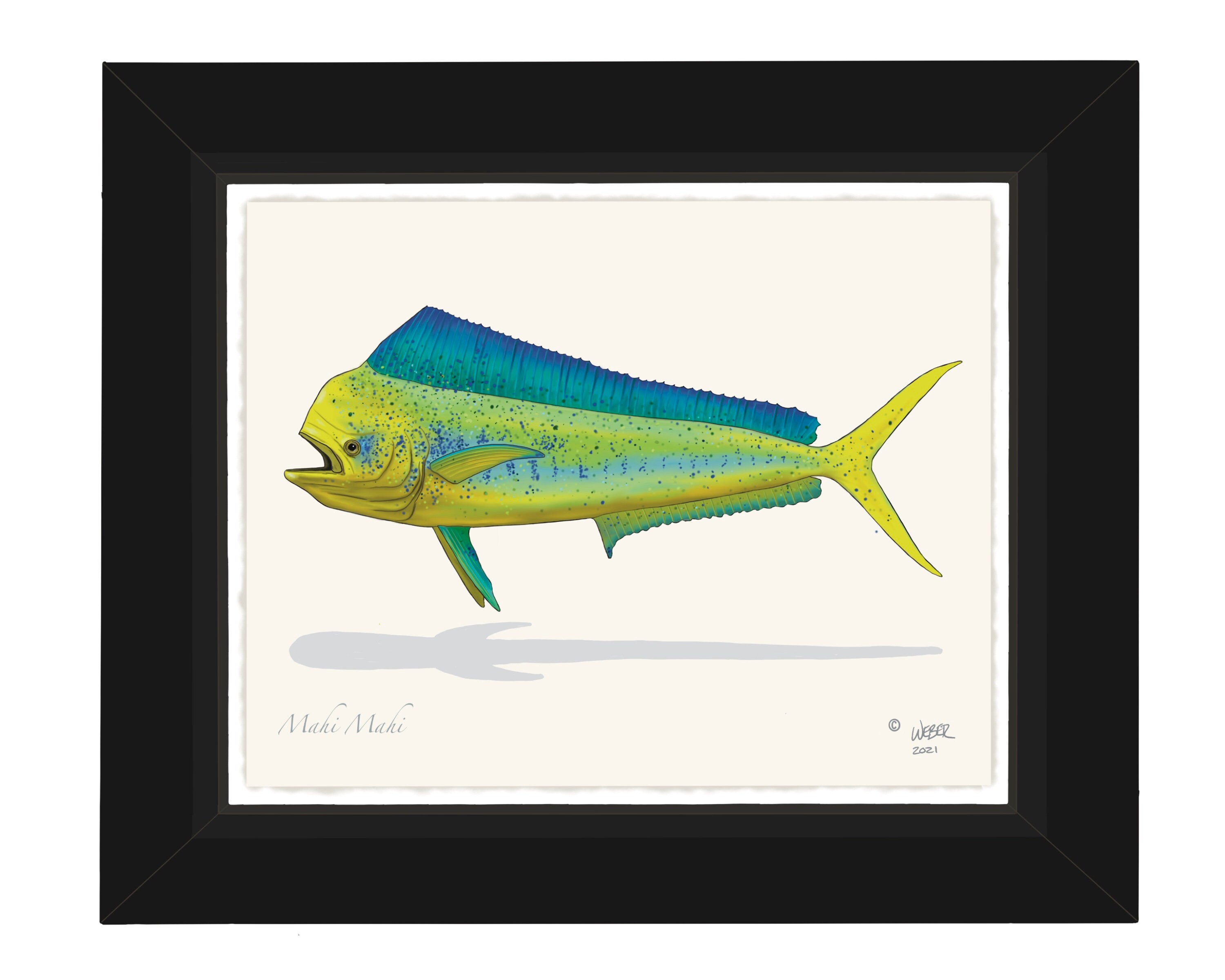 Mahi Mahi Dorado Fish Print - Etsy