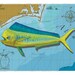 Mahi Mahi Cape Lookout Nautical Map Print - Etsy