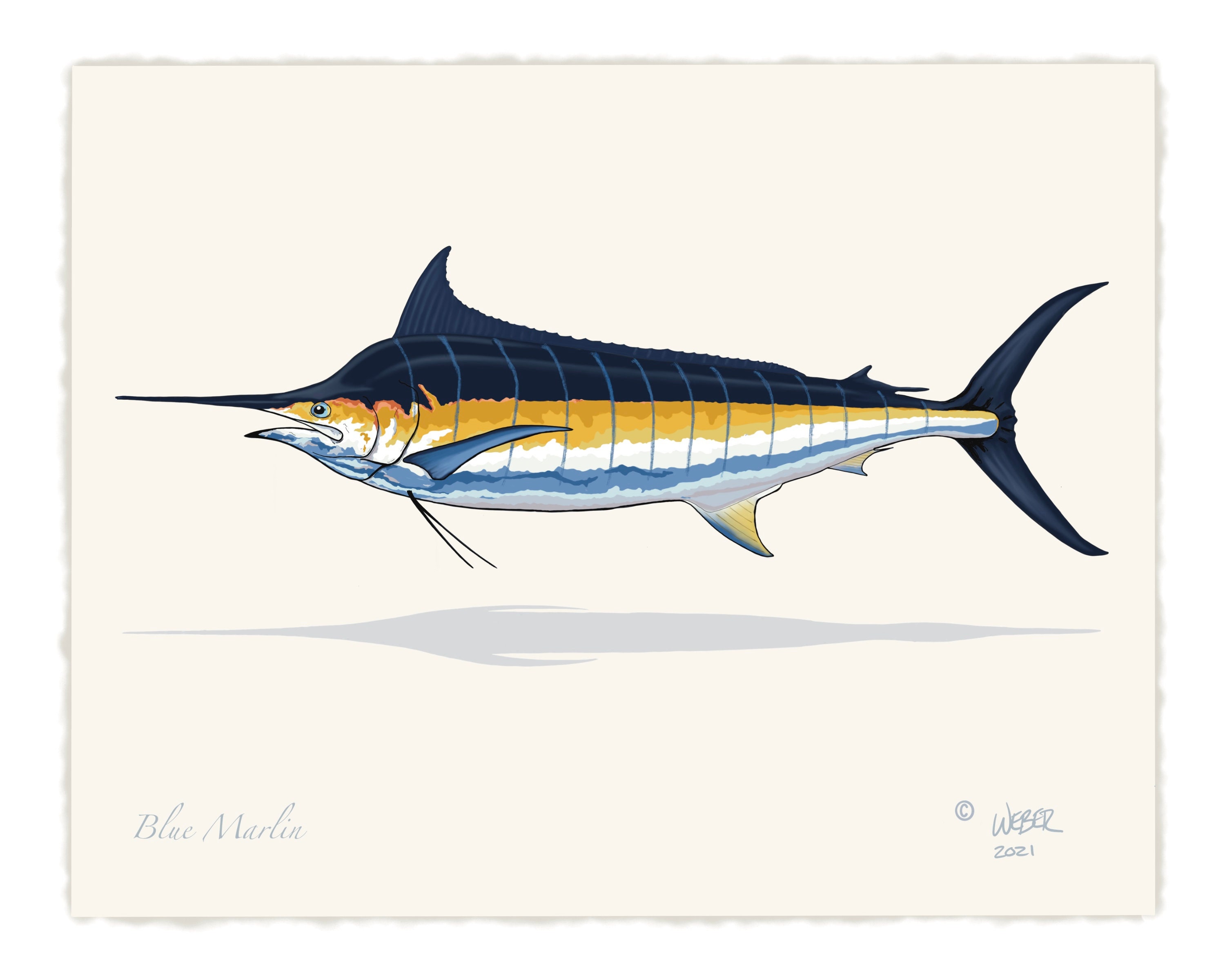 Blue Marlin Fish Print - Etsy