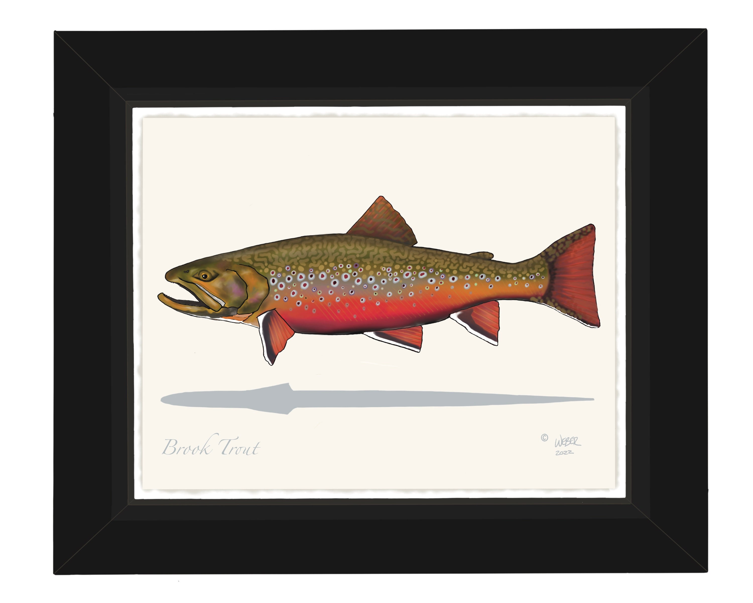 Brook Trout Print - Etsy