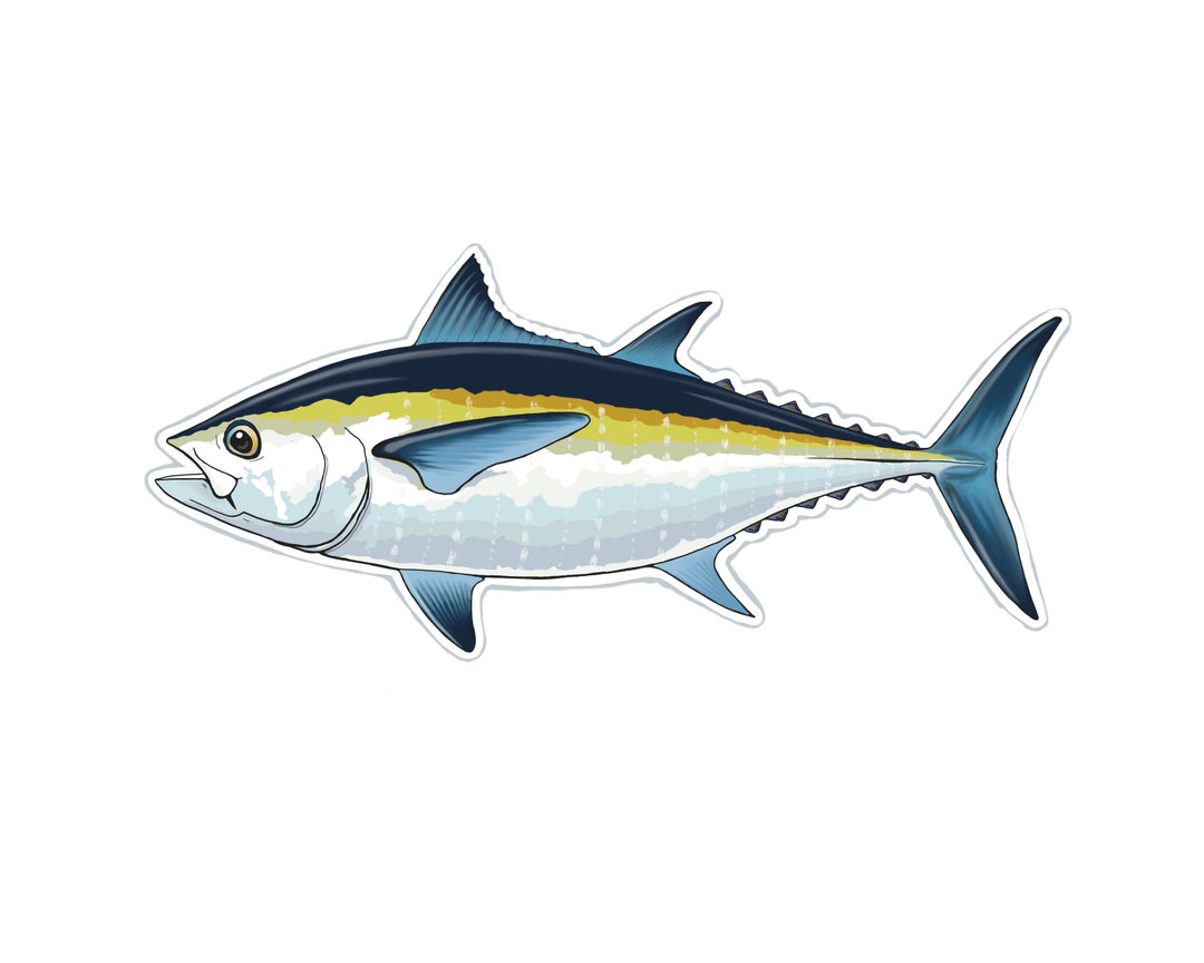 Bigeye Tuna Fishing Sticker - Etsy