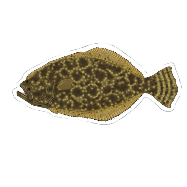 Flounder Stickers - Etsy