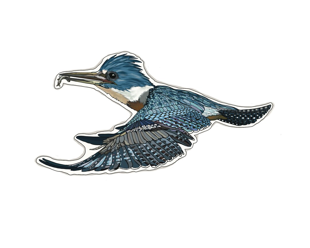 Kingfisher Sticker - Waterproof Bird Decal - Etsy