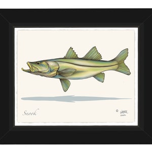 Snook Fish Print - Etsy