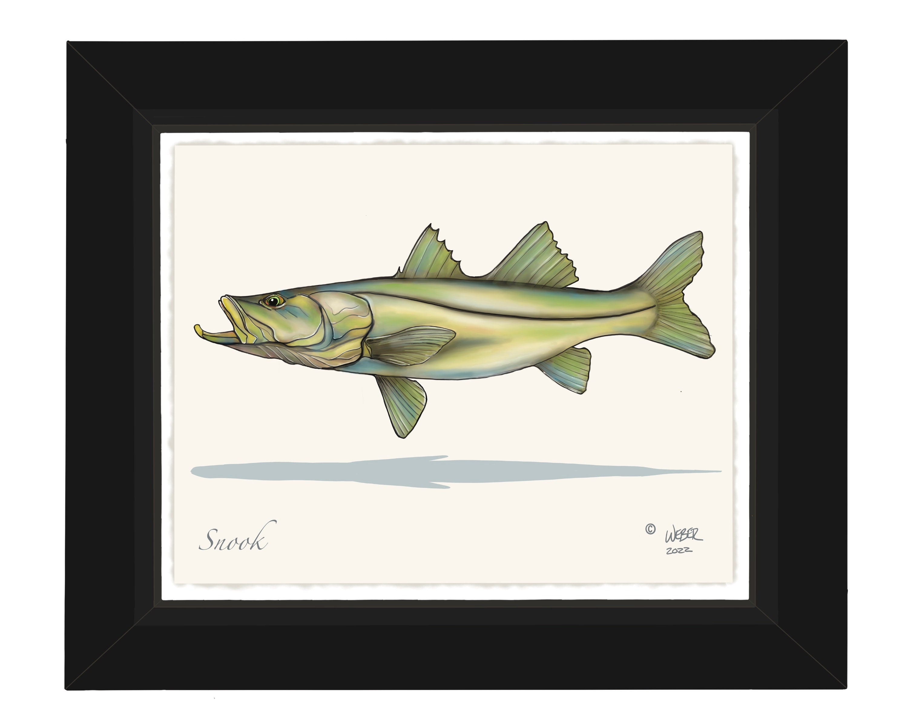 Snook Fish Print - Etsy