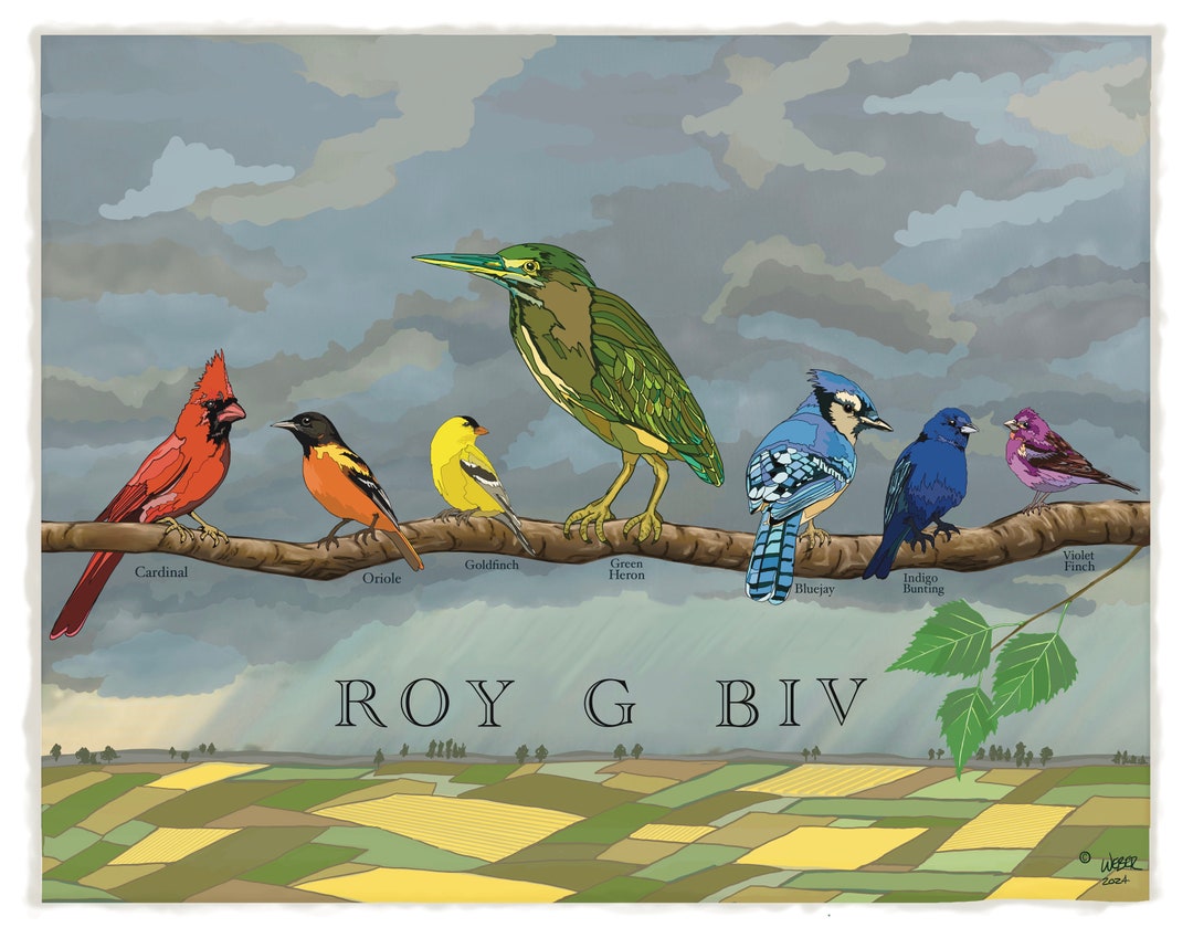 ROY G BIV Bird Print - Etsy