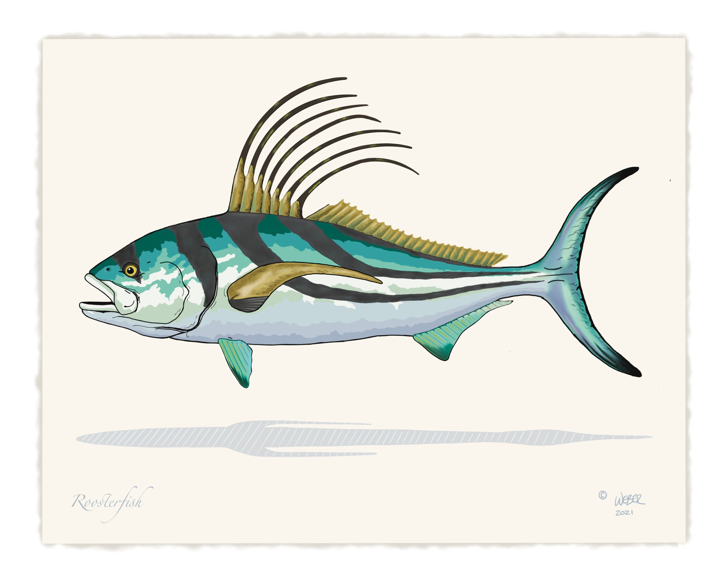 Roosterfish Rooster Fish Print - Etsy