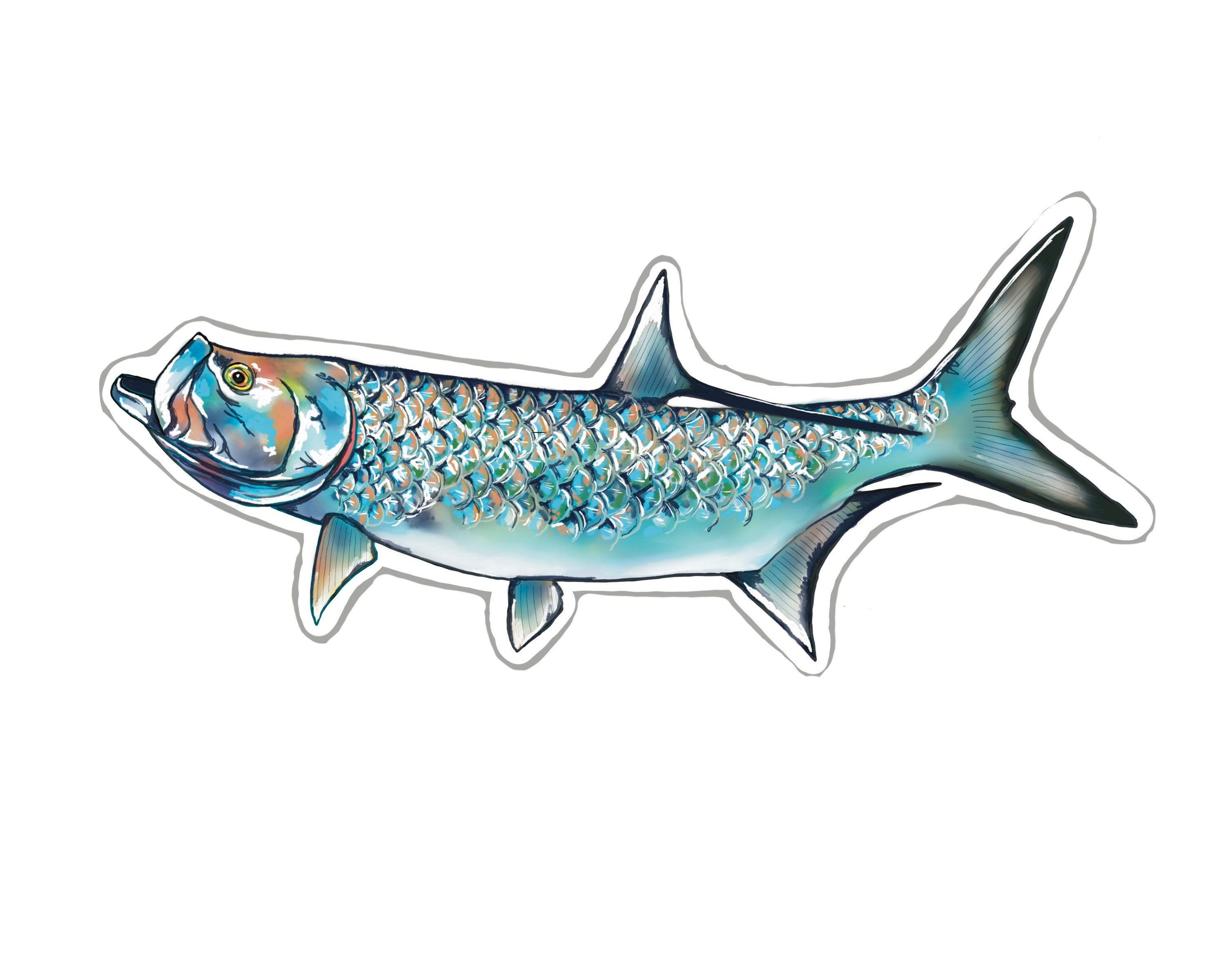 Tarpon Fish Sticker - Etsy