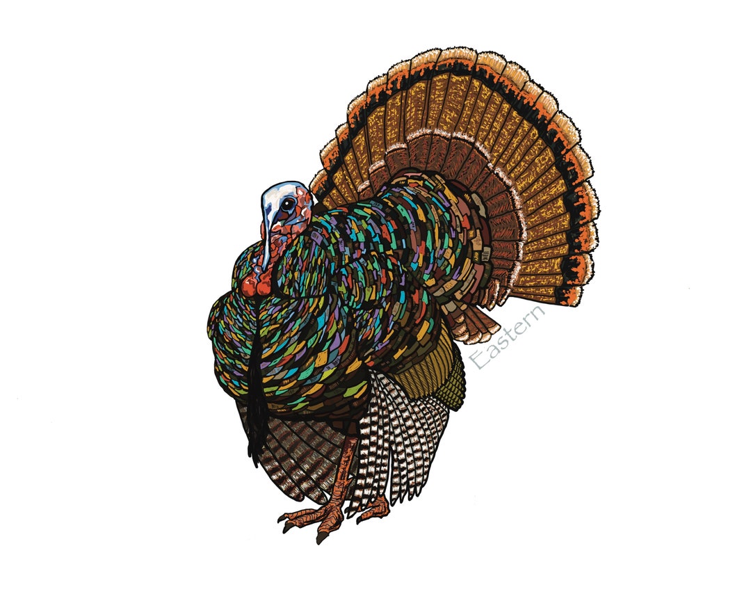 Eastern Wild Turkey Sticker - Etsy
