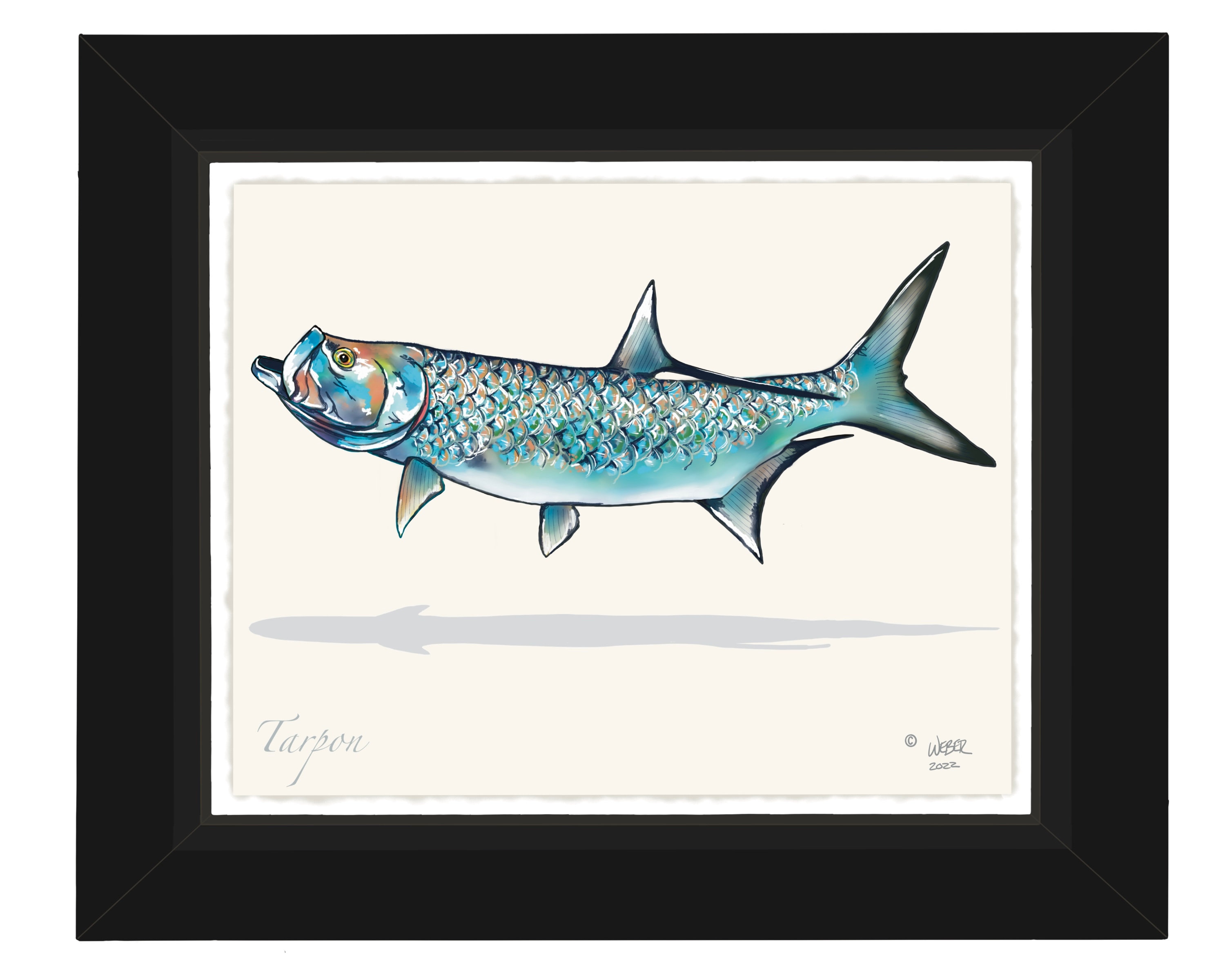 Tarpon Fish Print - Etsy