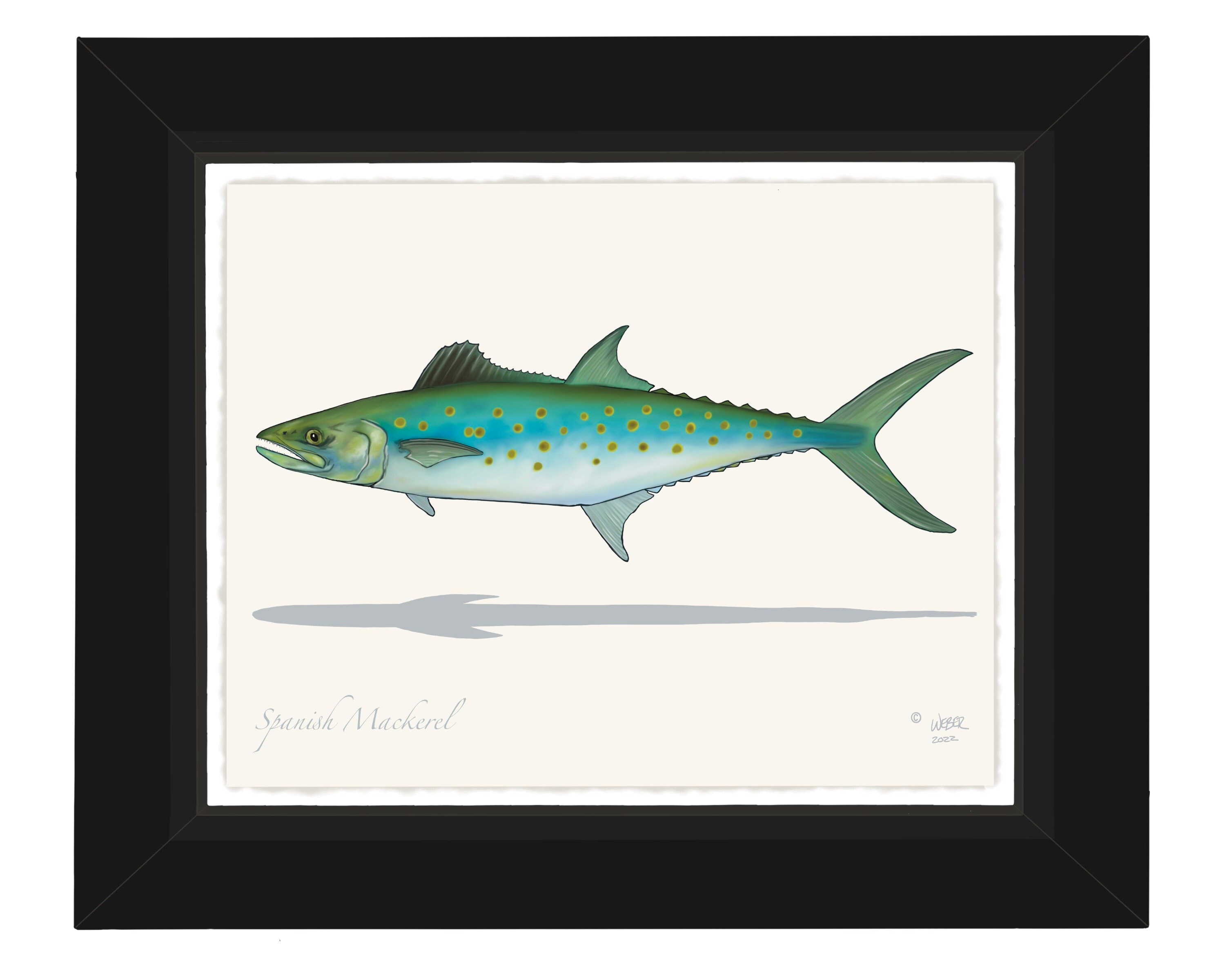 Spanish Mackerel Fish Print - Etsy