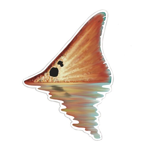 5 Redfish Swim Red Fish Sticker Vinyl Fishing Drum Cup - Etsy