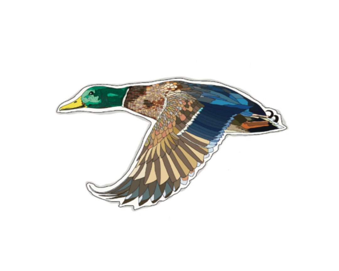 Mallard Duck Sticker - Etsy