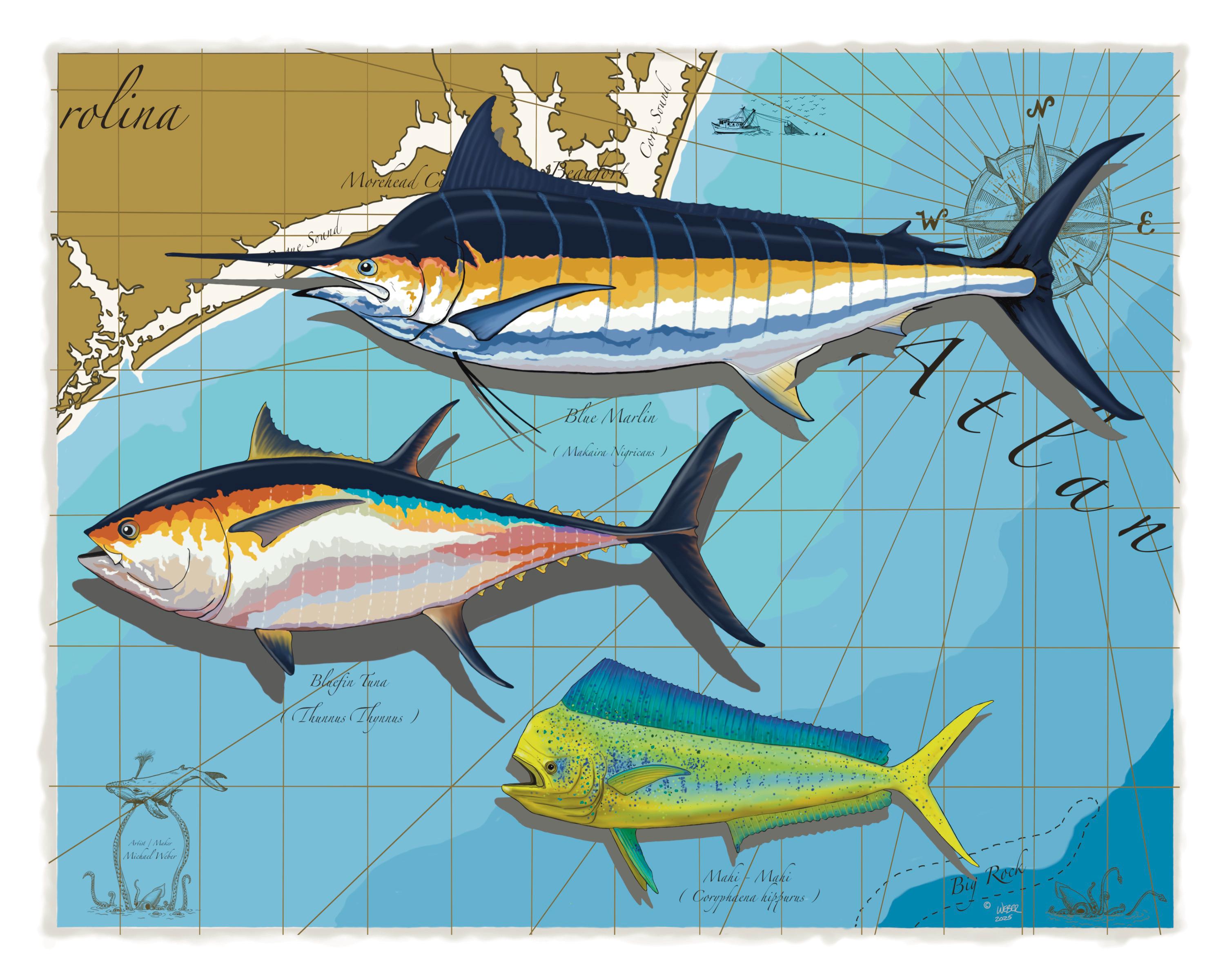 Saltwater Trio Print - Etsy