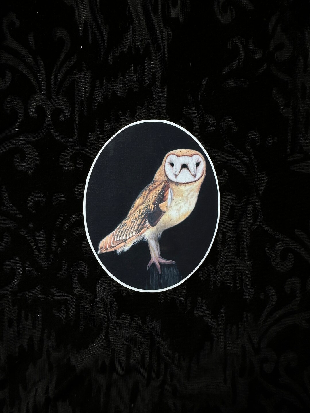 The Observer Vinyl Sticker (3 Eyed Owl) - Etsy