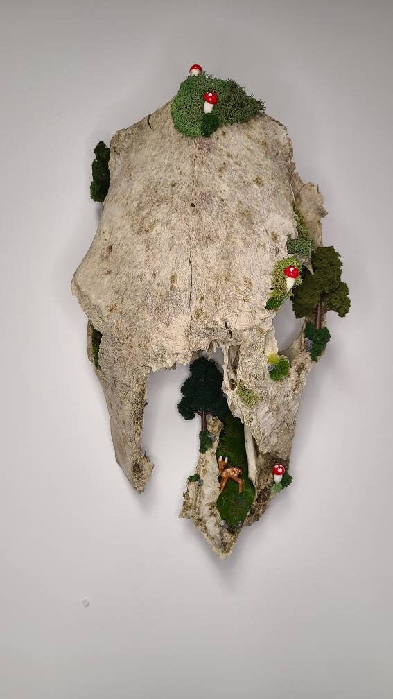 Cow Skull Forest Skull Deer Real Animal Skull Oddities - Etsy
