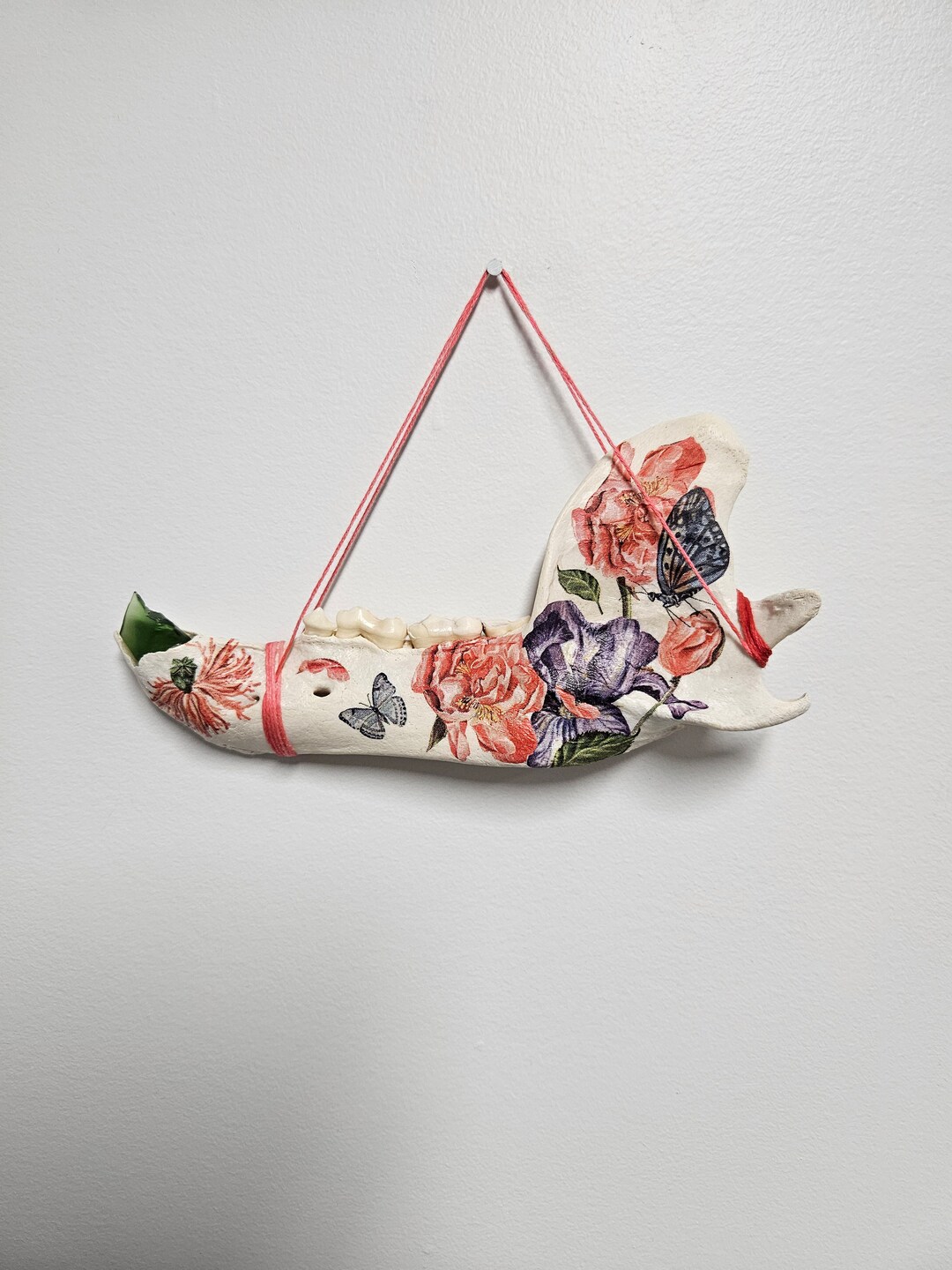 Hanging Bear Jaw Bone Purple & Pink Flowers Decoupage Bone Oddities ...